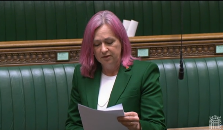 Time to Lift The Ban says Liz Saville Roberts - Welsh Refugee Council